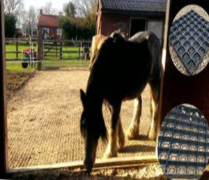 Plastic Gravel Grids 500x500mm For Horse Stud And Buggy Paths Etc ...
